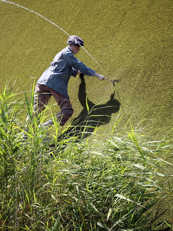 Small Dutch boy needed… | Behind the Yellow Tape